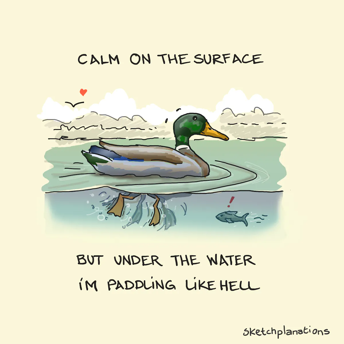 Calm Like a Duck - Sketchplanations