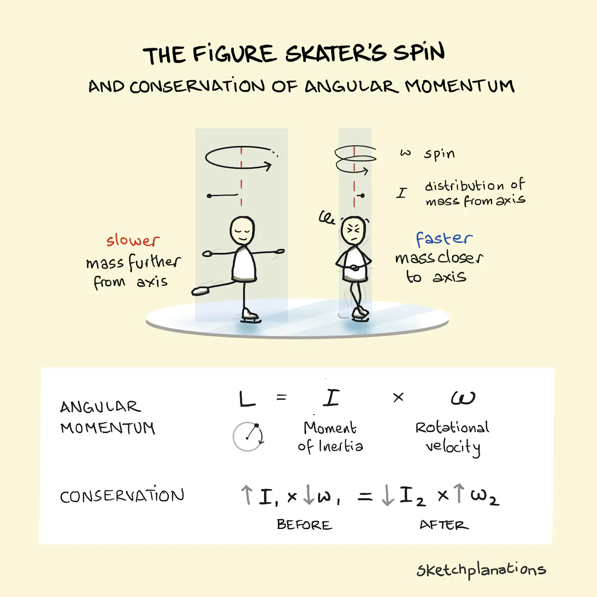 The Figure Skater's Spin and the Conservation of Angular Momentum ...