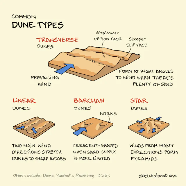 Dune Types: Transverse, Linear, Barchan, Star Dunes - Sketchplanations