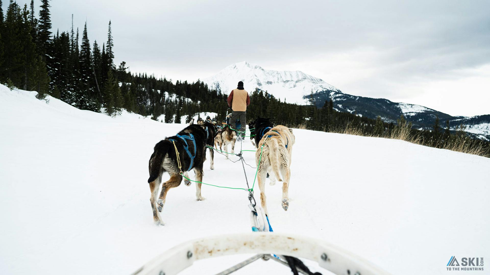 42 Zoom Backgrounds for When You're Missing the Mountains | To The ...