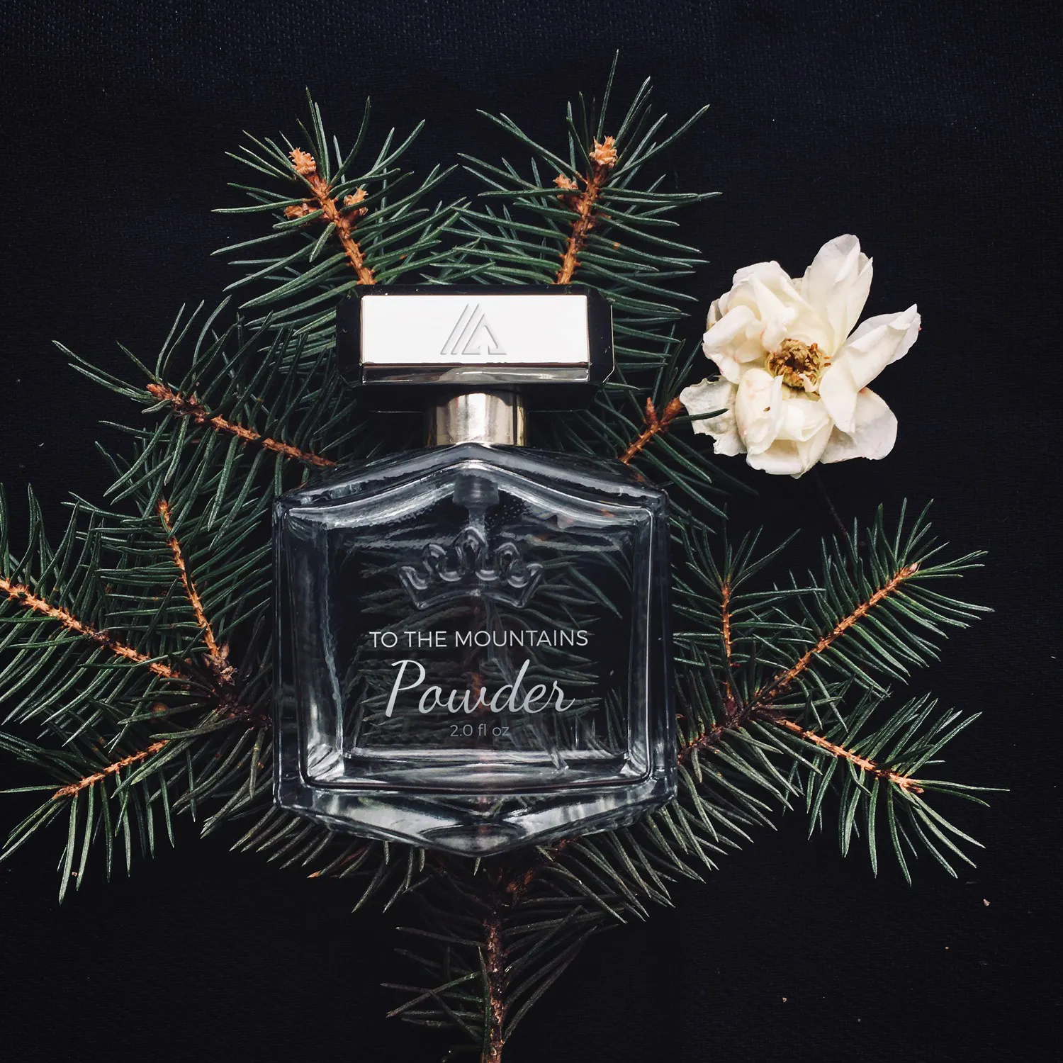 Ever Wonder Why Snow Smells So Good? | To The Mountains Blog by Ski.com