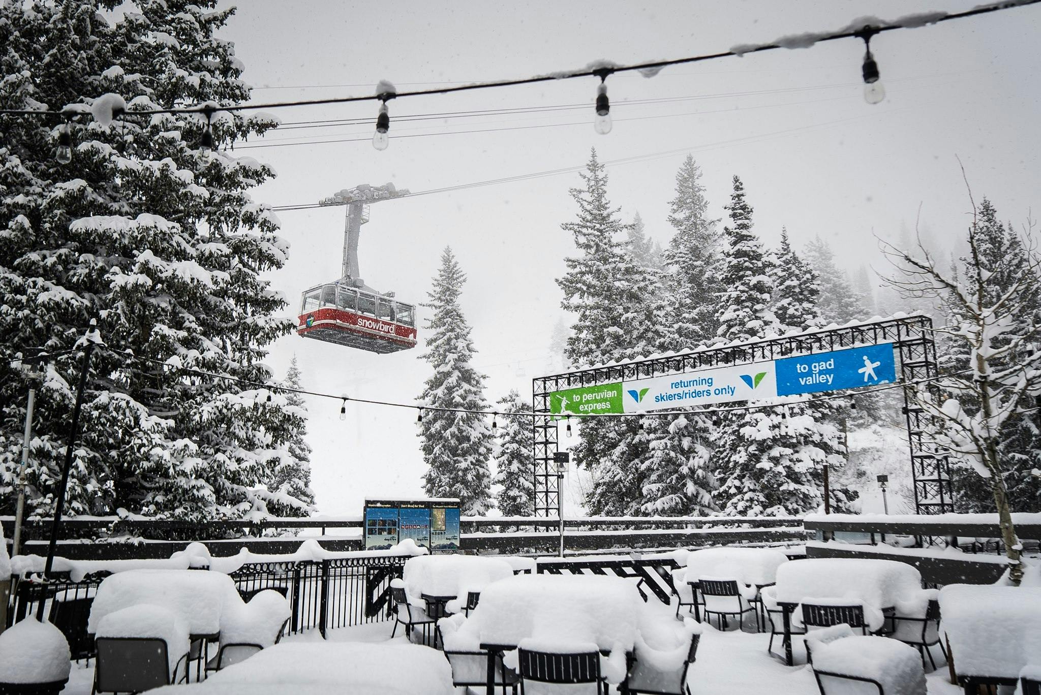 3-Day Interlodge Ends With Country Club Powder At Snowbird/Alta [Photos ...