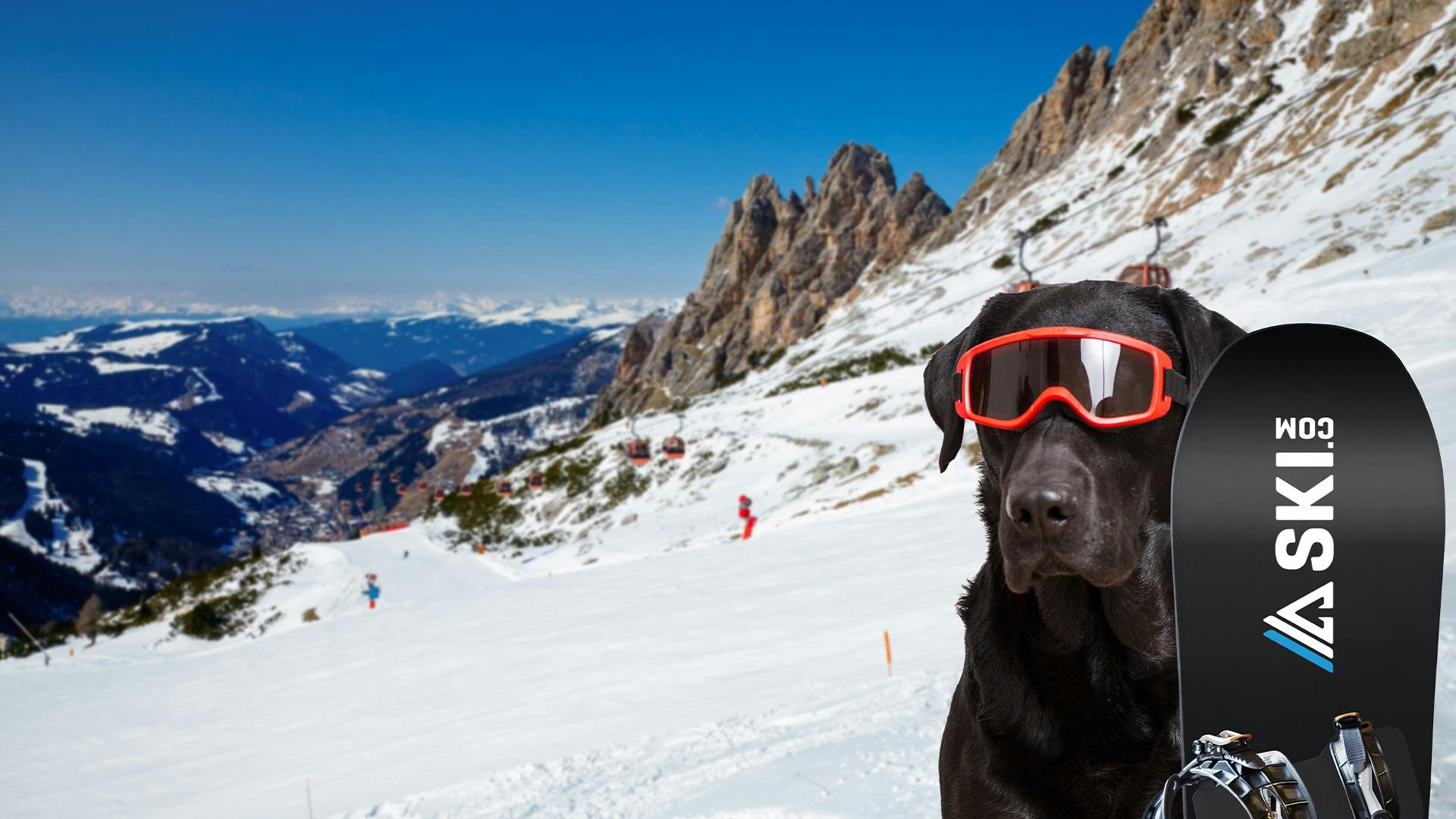 42 Zoom Backgrounds for When You're Missing the Mountains | To The ...