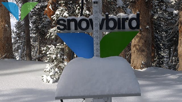 10 Best Resort Cams to Watch for Snow | To The Mountains Blog by Ski.com