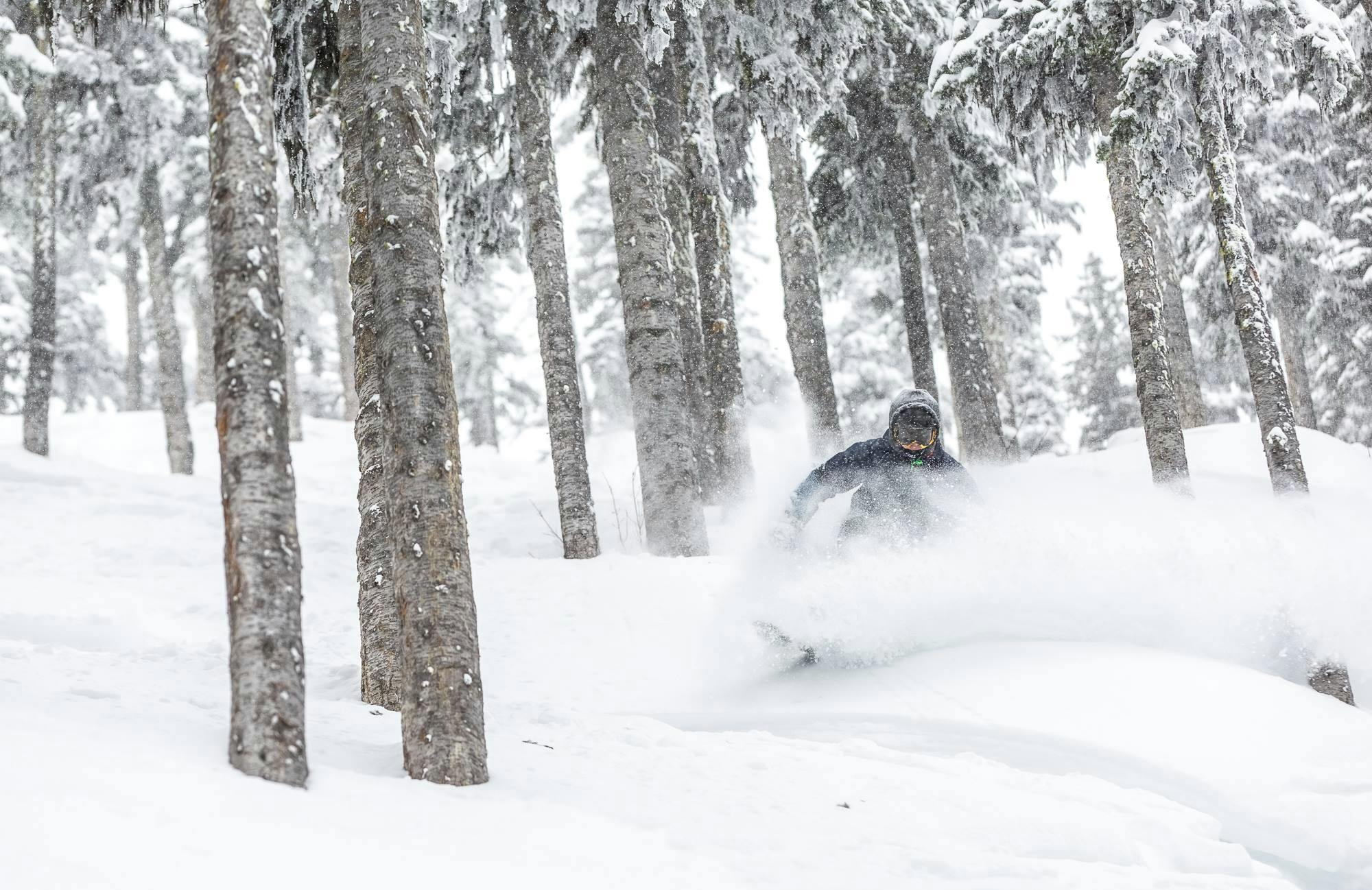 Discover the Top Ski Resorts for Tree Skiing | To The Mountains Blog by ...