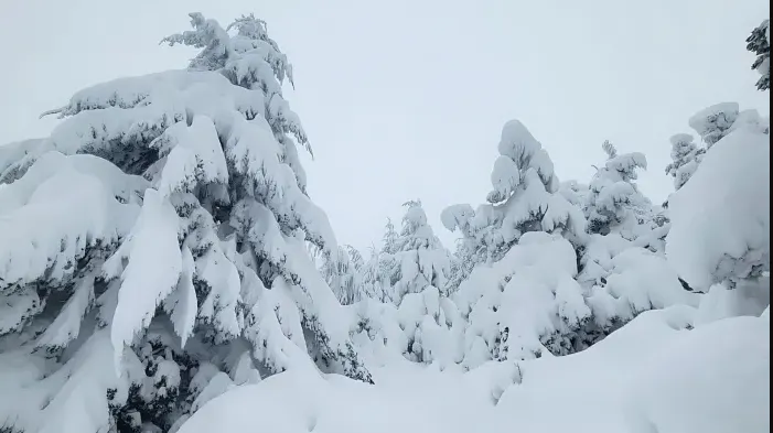 Bariloche Snow Report & Forecast | AR Ski Resort