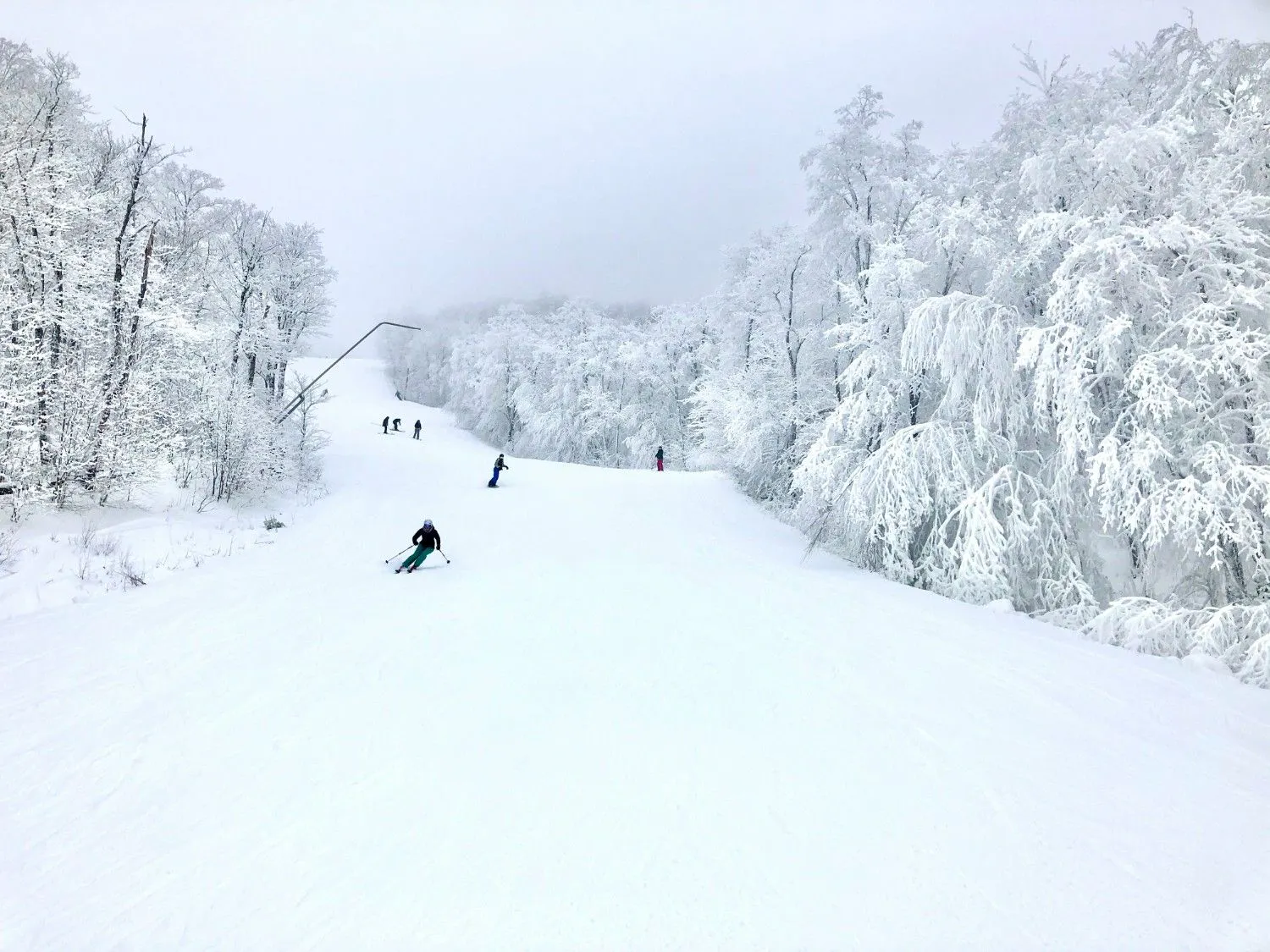 Discover Nozawa Onsen: Japan's Top Ski Resort & Hot Springs Destination ...