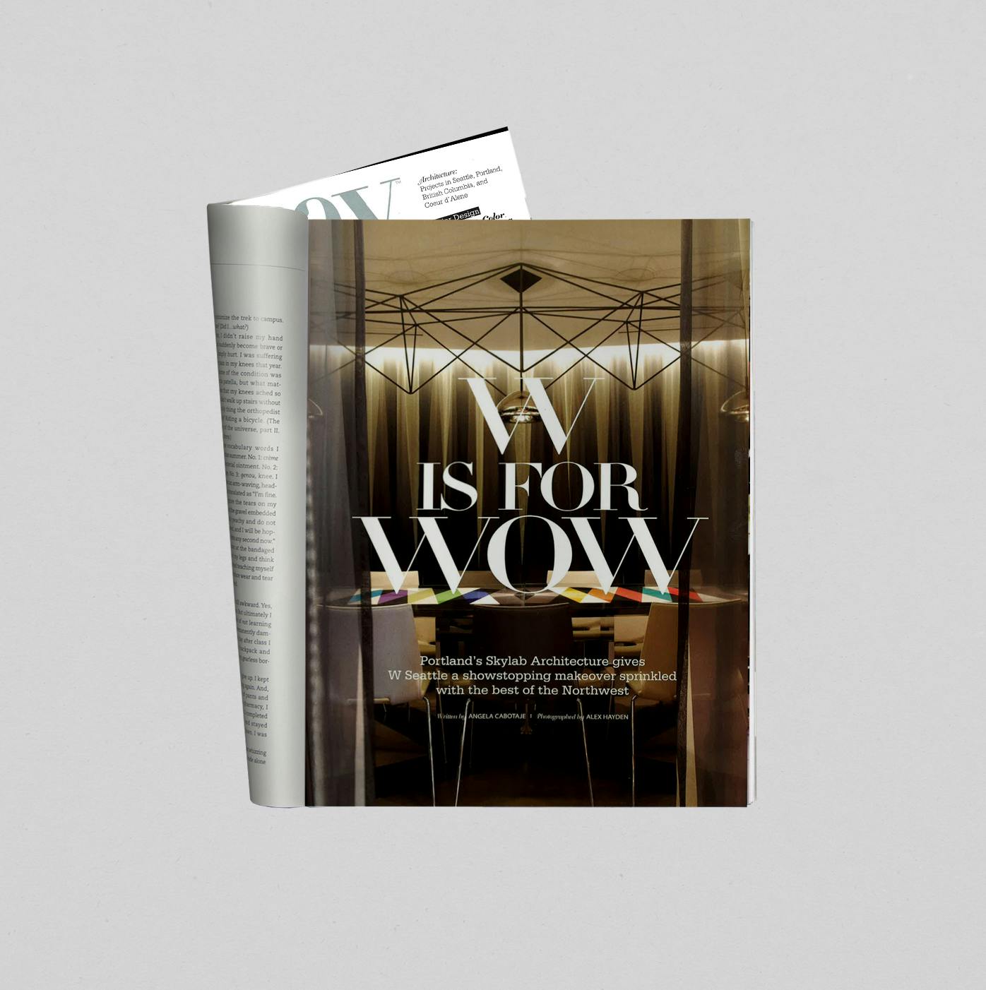 Gray Magazine — Skylab Architecture