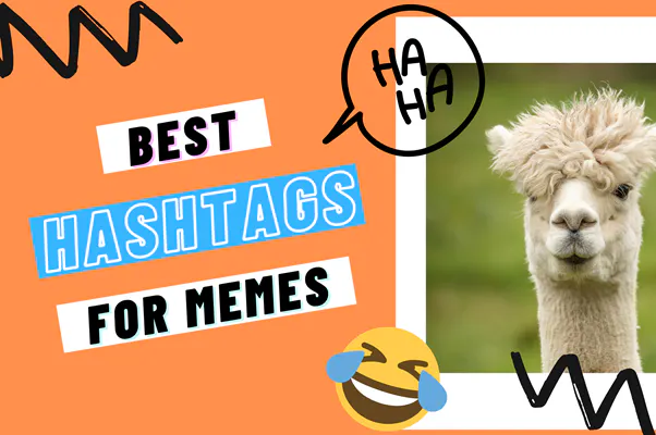 Best Meme Hashtags - Quotes Trendy New