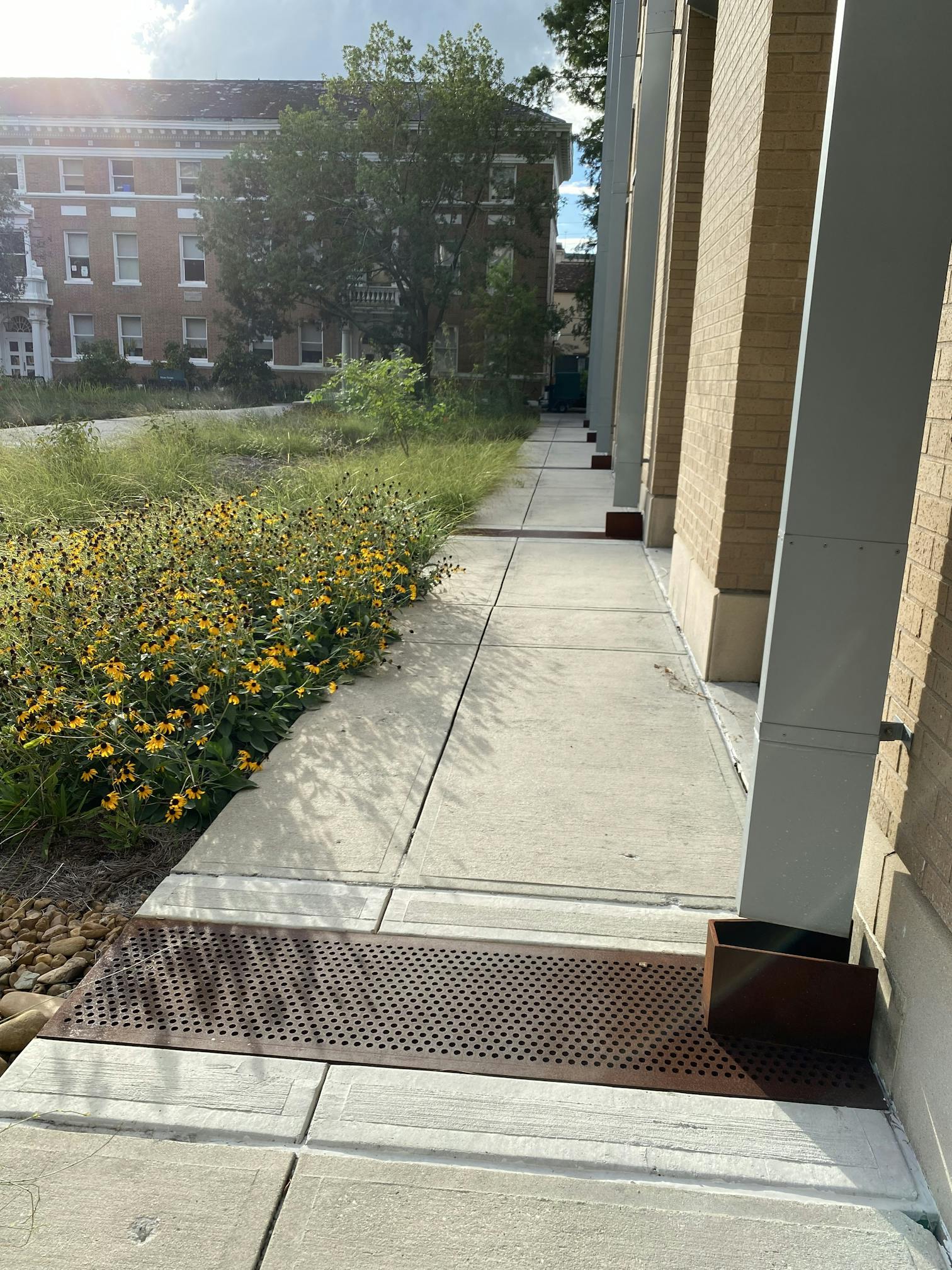 Tulane Native Gardens | SMM