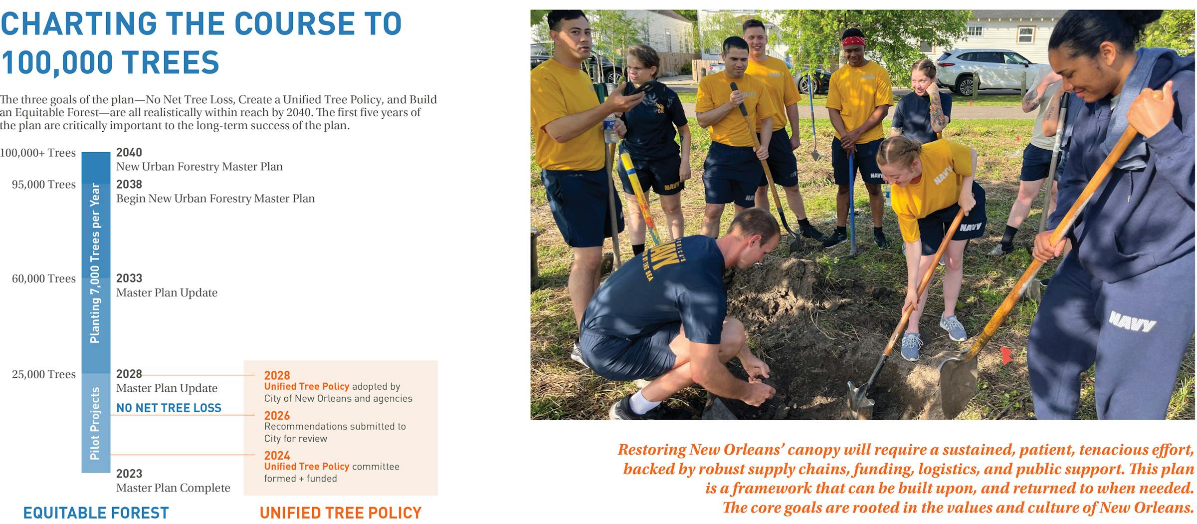 New Orleans Reforestation Plan | SMM