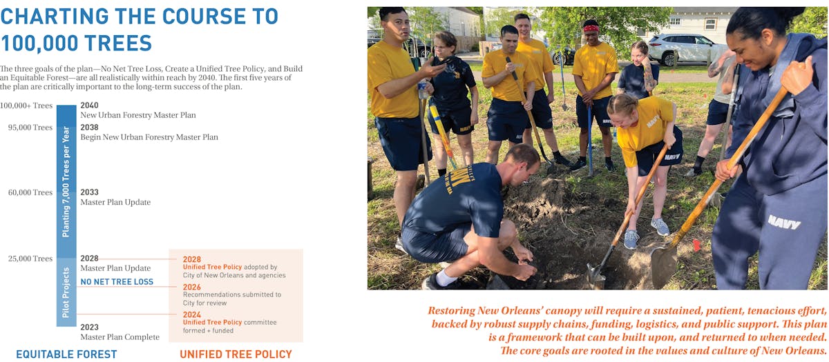 New Orleans Reforestation Plan | SMM