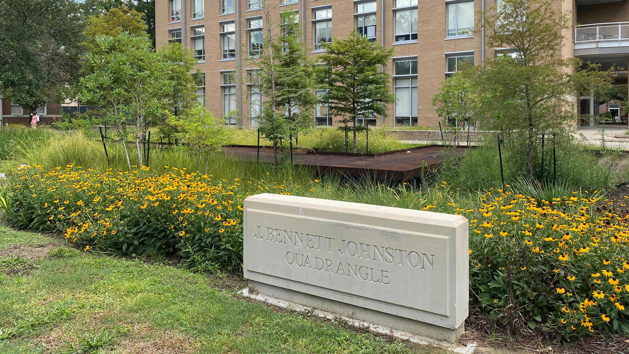 Tulane Native Gardens | SMM