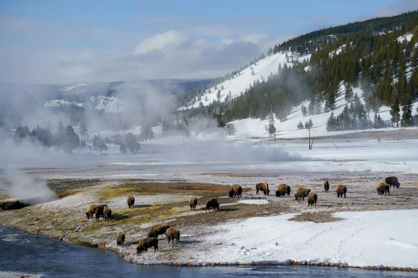 Discover the 5 Best Ski Resorts in Wyoming, 2024/25