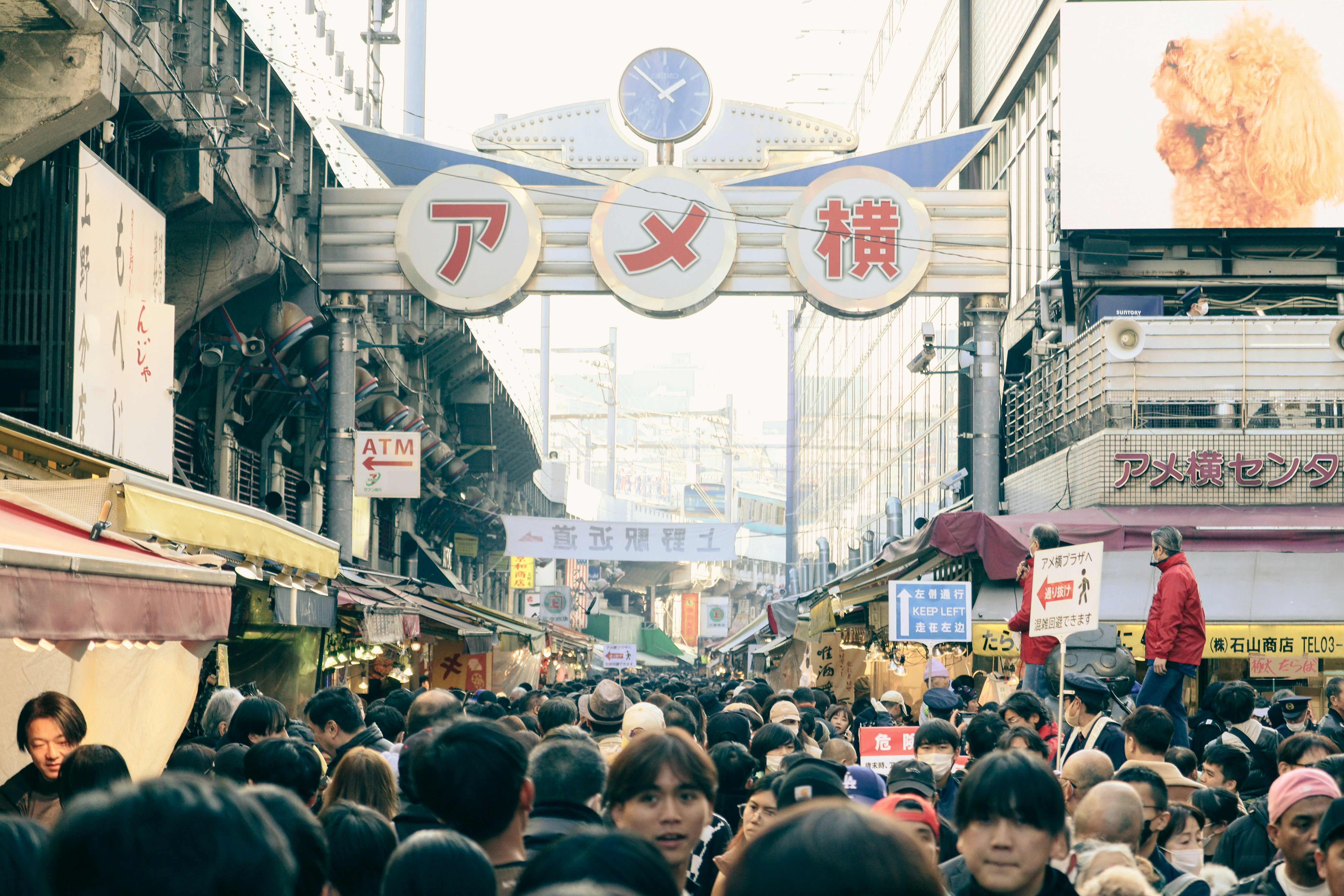 Best Ways to Immerse Yourself in Japanese Culture While Living in Tokyo ...