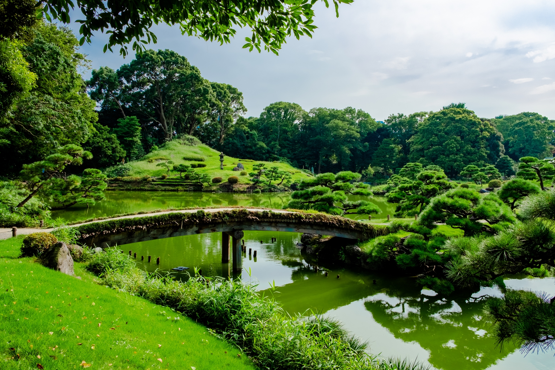 Discover Kiyosumi Shirakawa: A Peaceful Haven Blending Edo Charm and ...