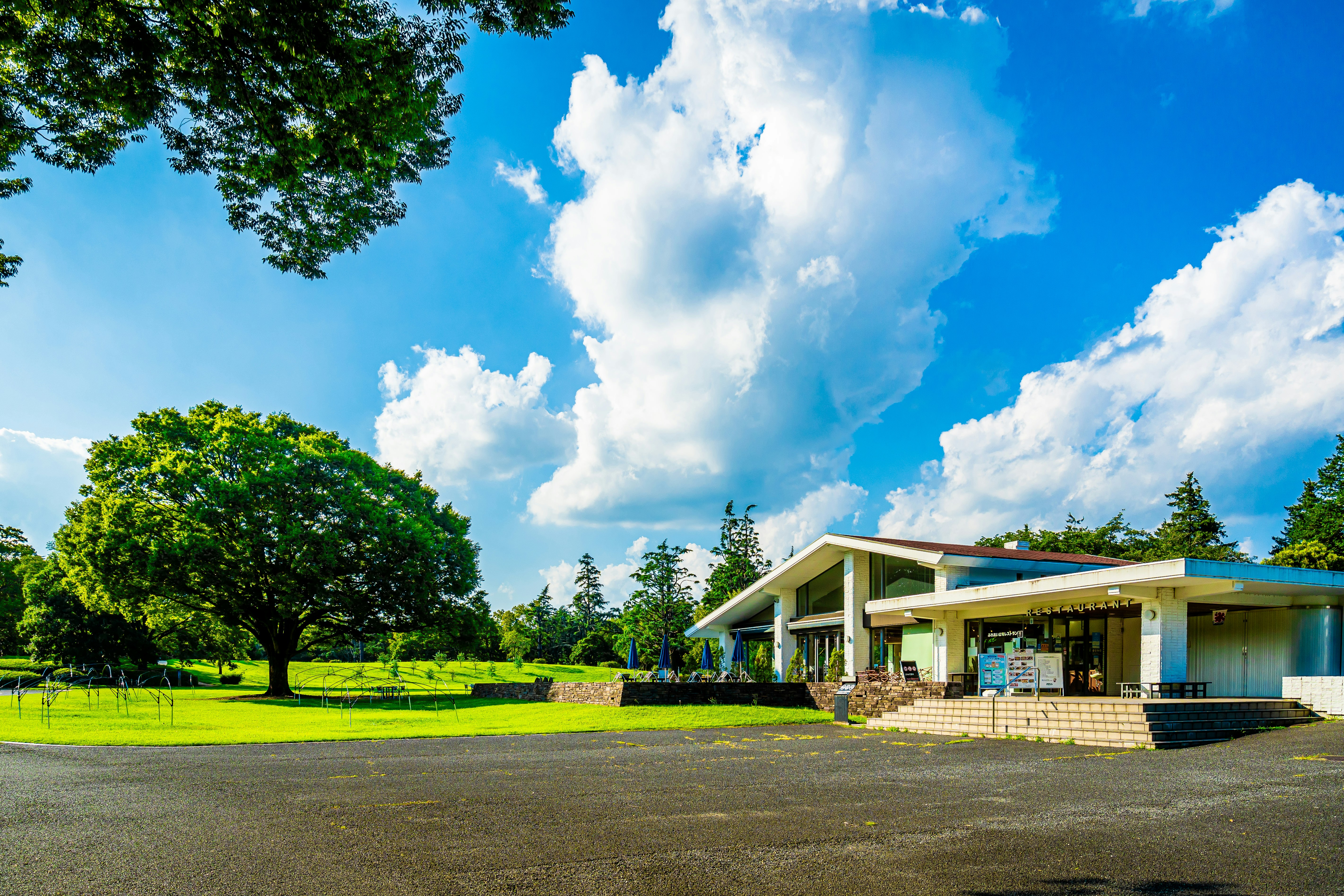 In the Face of Earthquake Risk: How to Travel Around Japan Safely - Somado