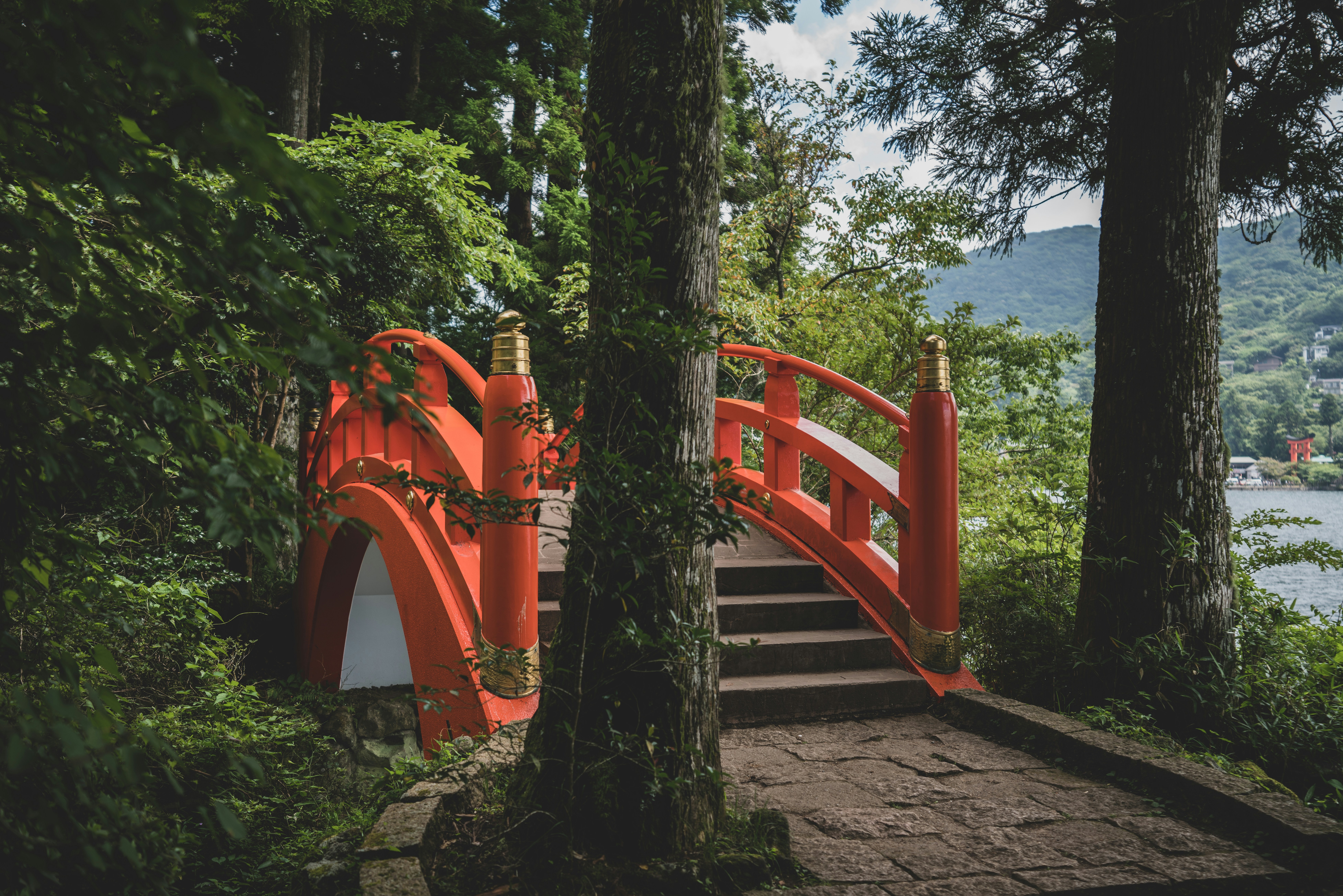 The Art of Stillness: Where to Stay in Japan for Peace and Culture - Somado