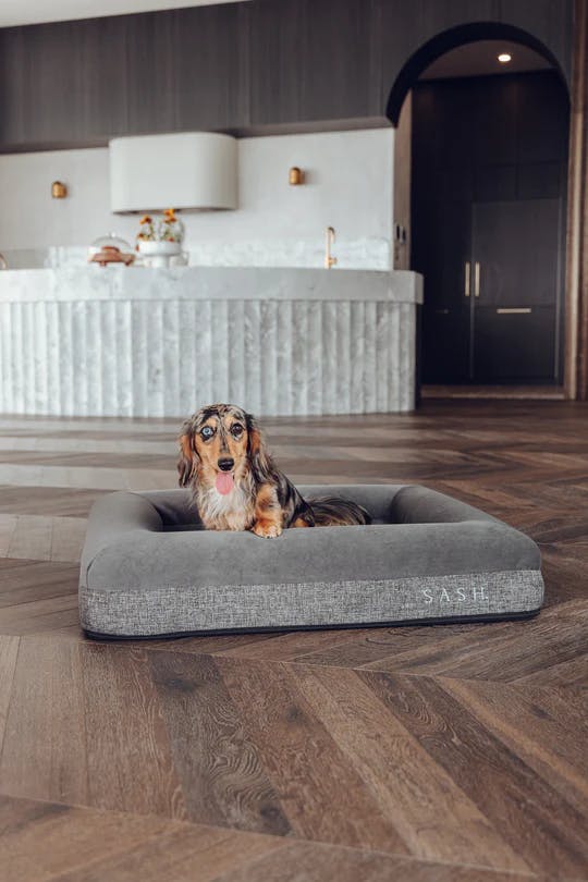 SASH™ | Our Projects | Sourci