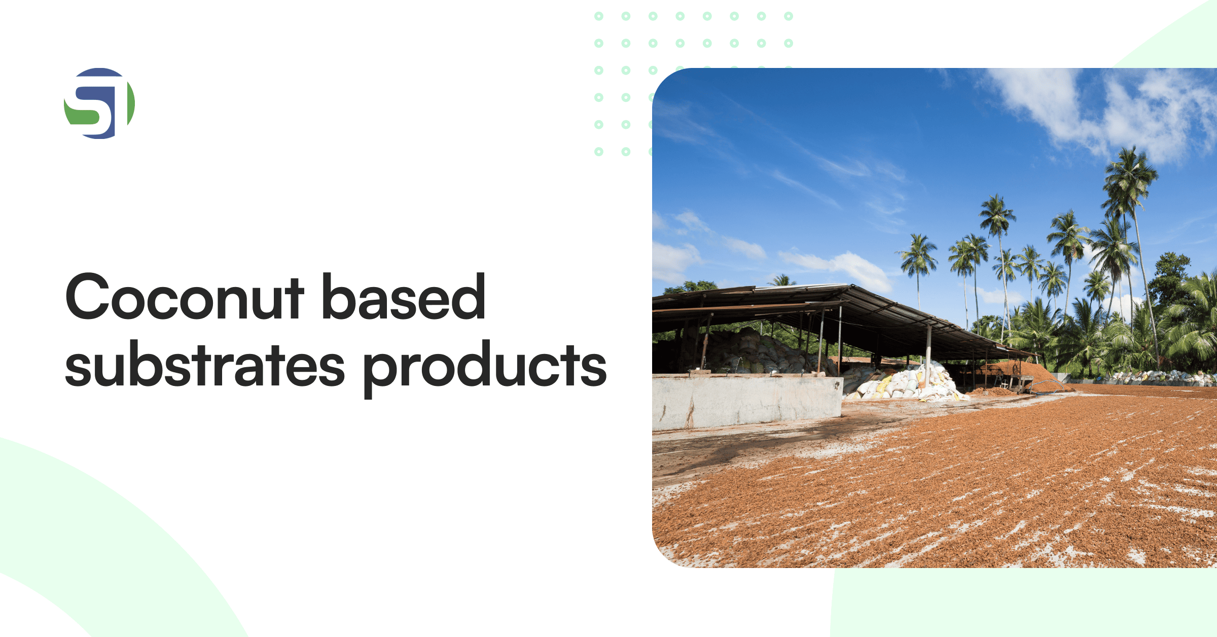 Premium Coconut Coir Products | Eco-Friendly Coir Solutions