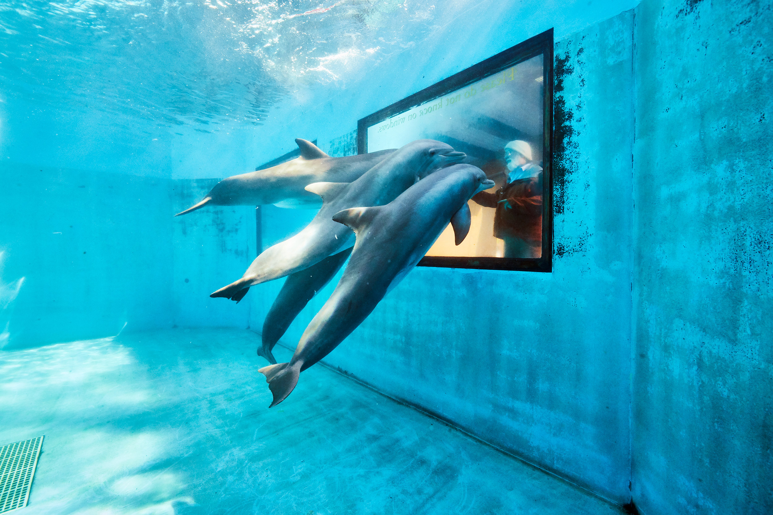 spencer_lowell_science_054-2 - Spencer Lowell