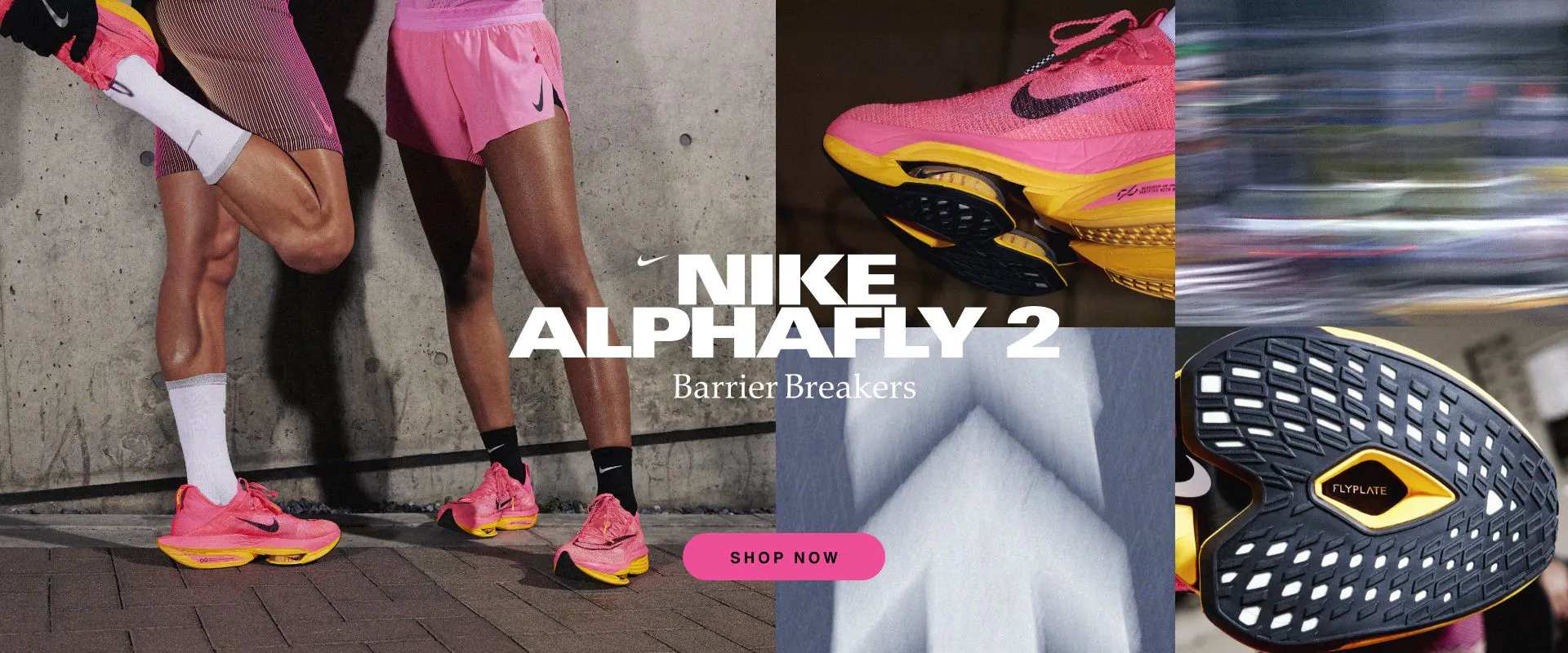 Nike Air Zoom Alphafly Next% Running Shoes | SportsShoes.com