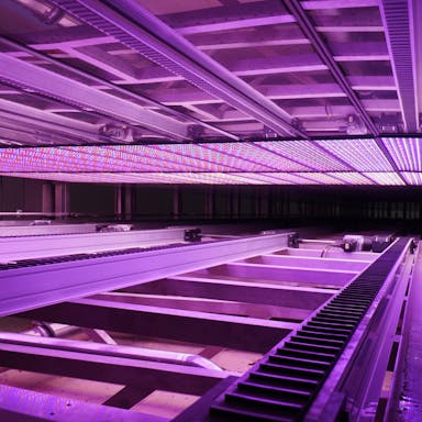 Stacked Farm® - The future of fresh produce