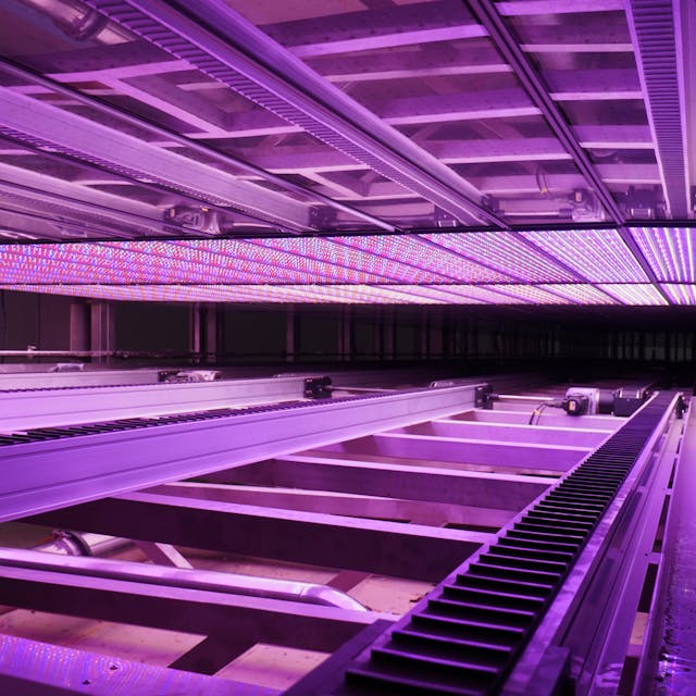 Stacked Farm® - The future of fresh produce