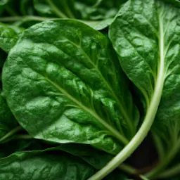 Stacked Farm® — The future of fresh produce