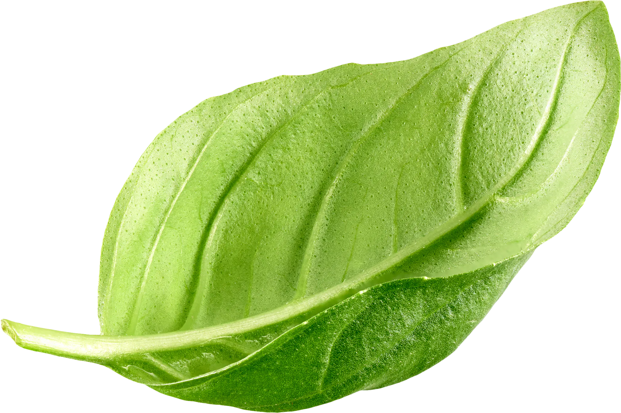 Stacked Farm ® — Produce