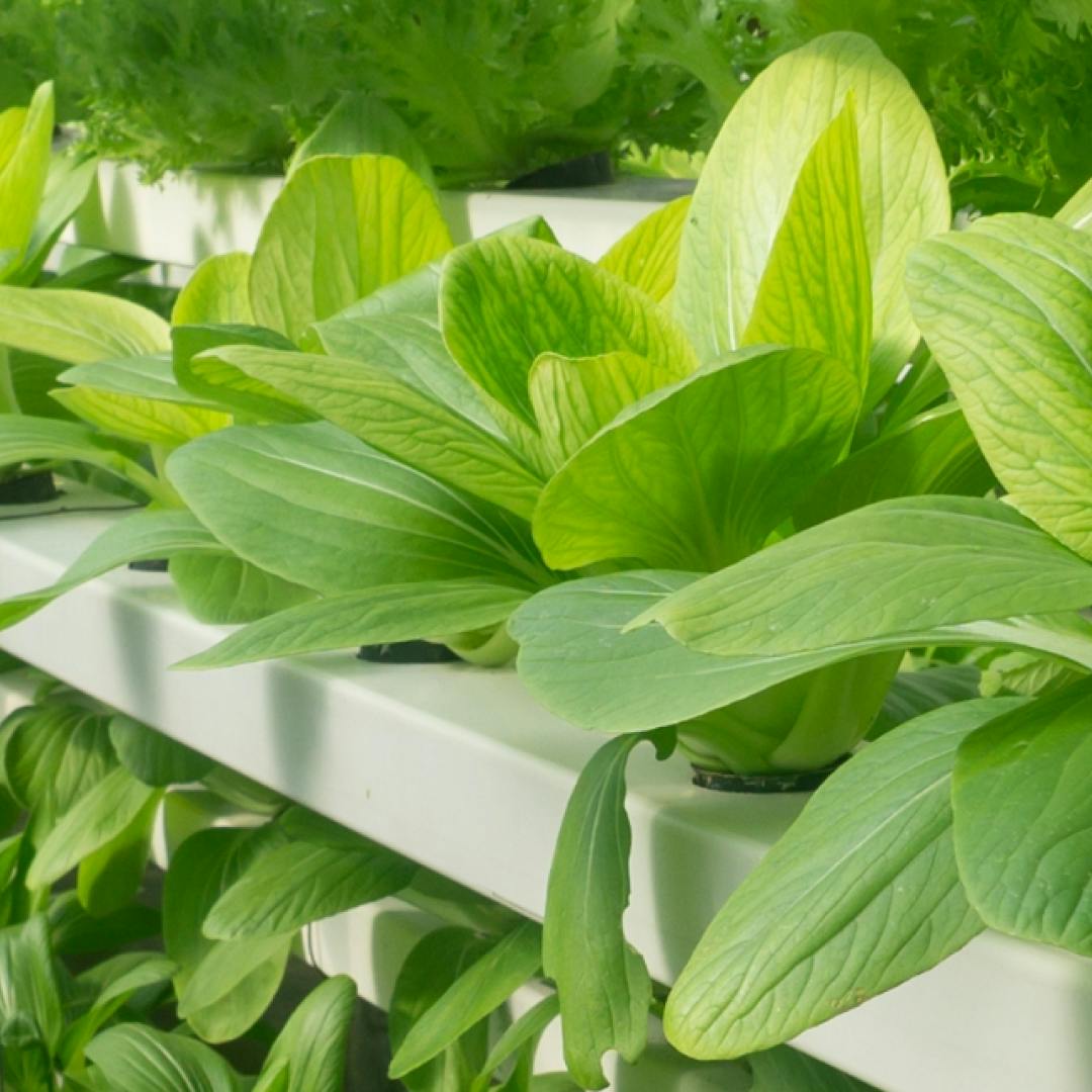 Stacked Farm ® — Farms