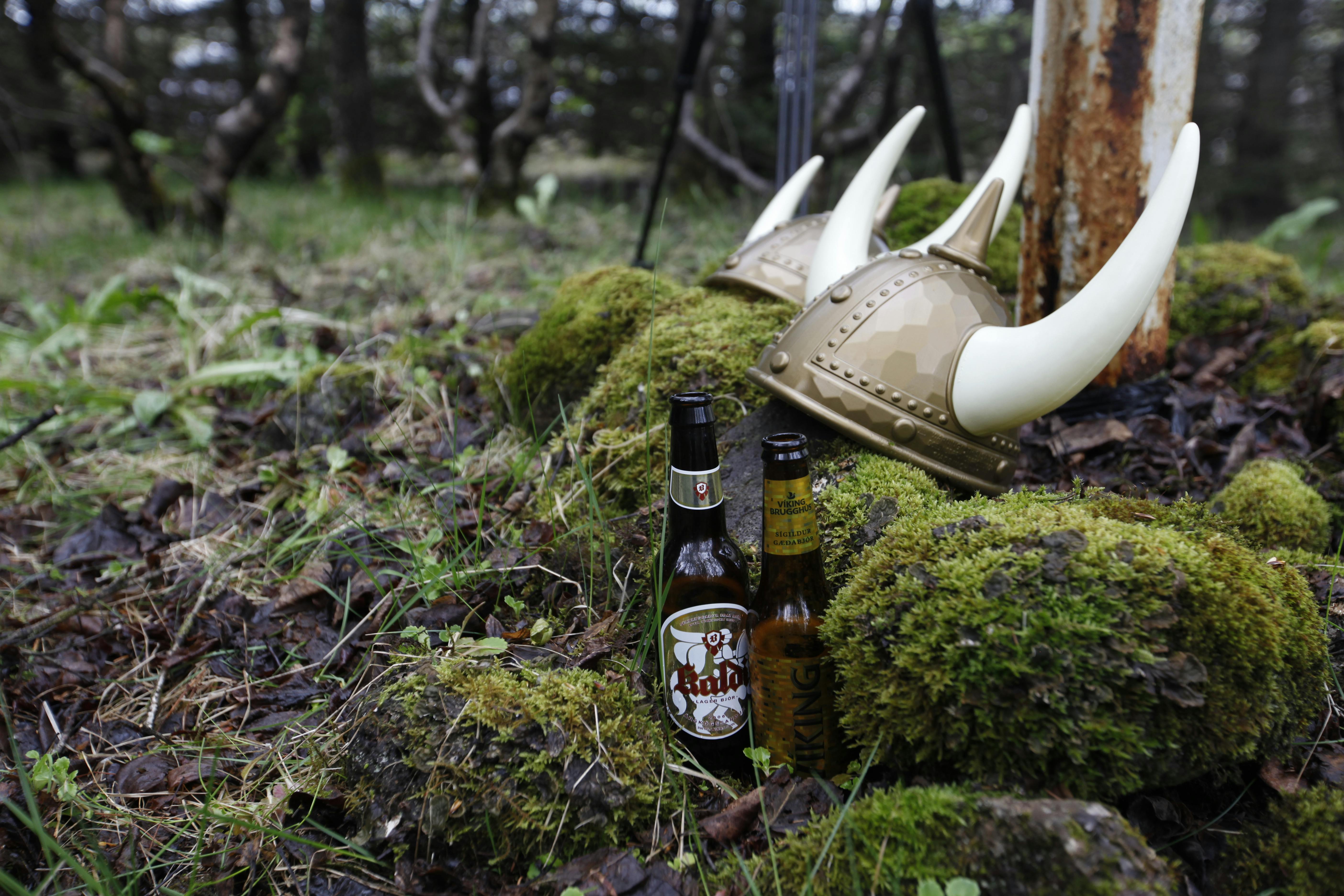 Viking for a weekend - Stag trip to Iceland - Bachelor package in ...