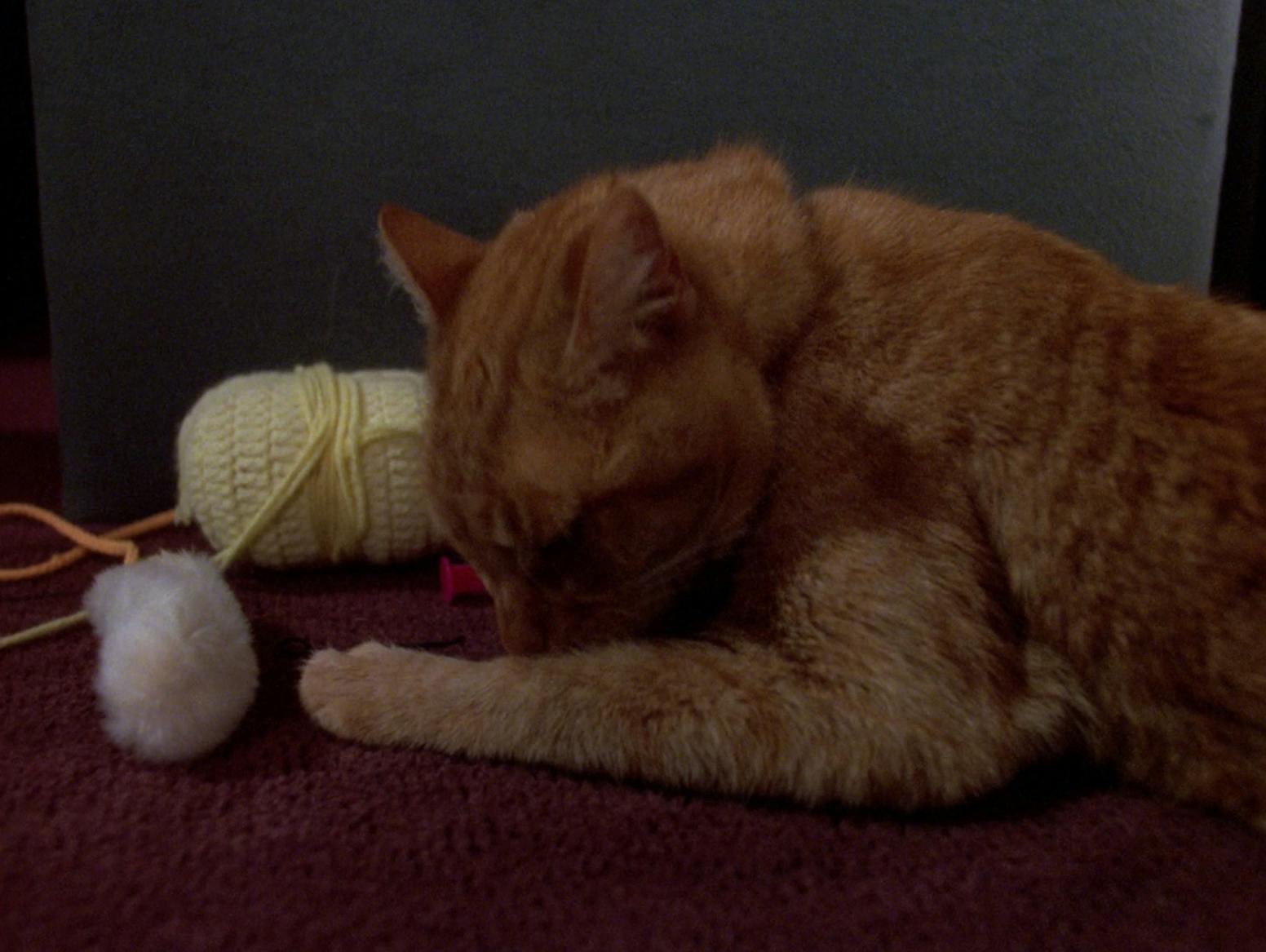 'Genesis' Director's Commentary with Gates McFadden