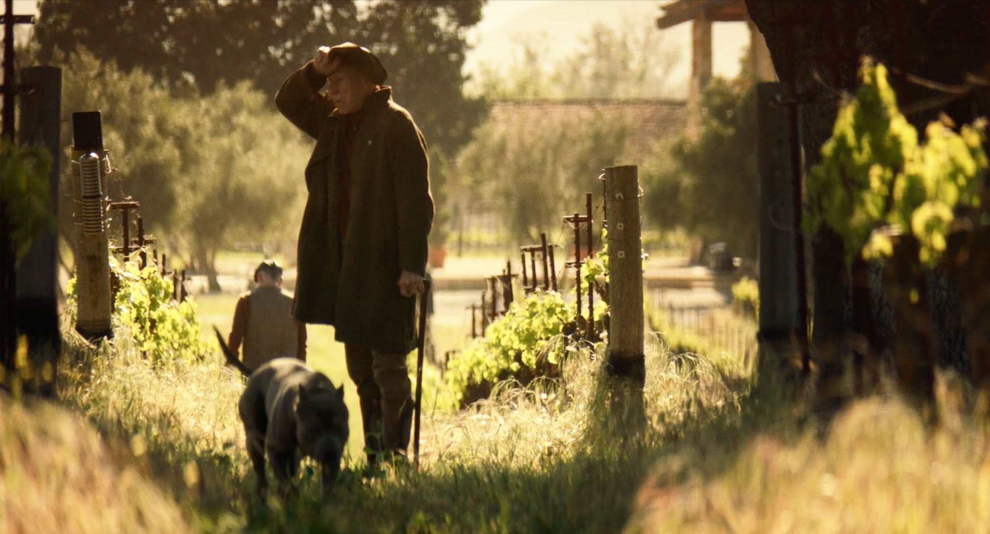 Star Trek: Picard "Remembrance"