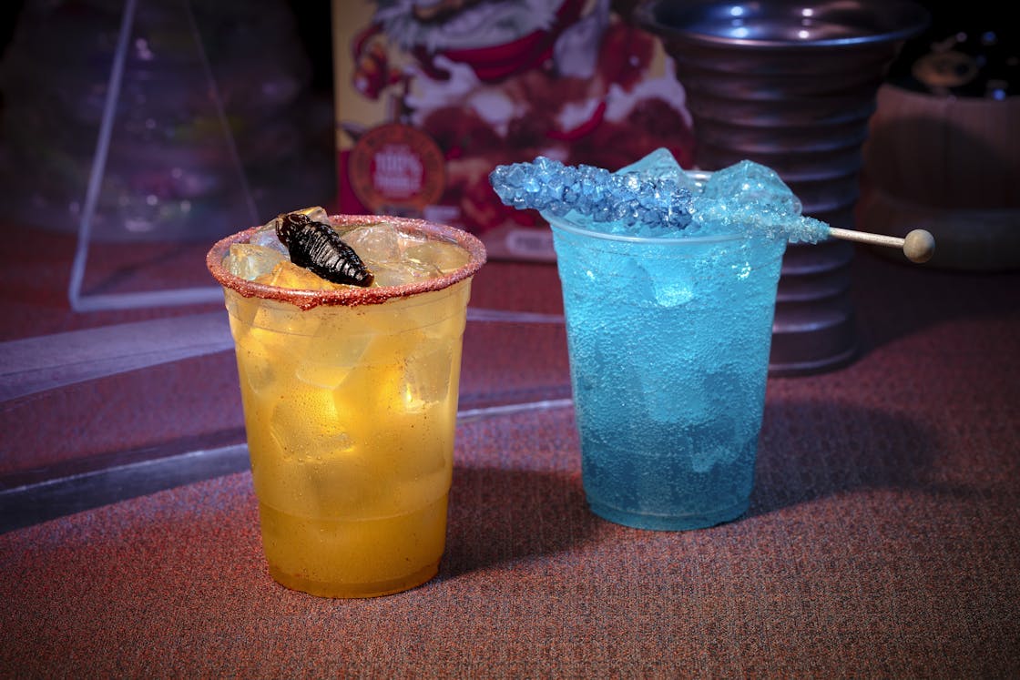 The Star Trek Food Guide to Universal Fan Fest Nights 2025