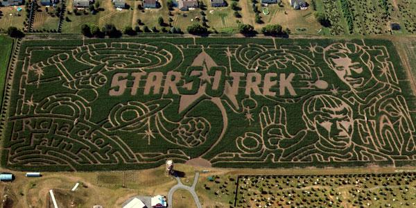 Richardson corn maze store