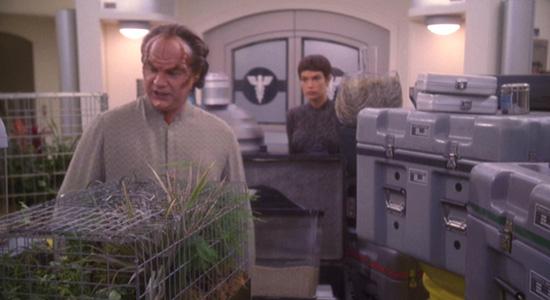 Living on the Galaxy's Edge: The Edosians | Star Trek