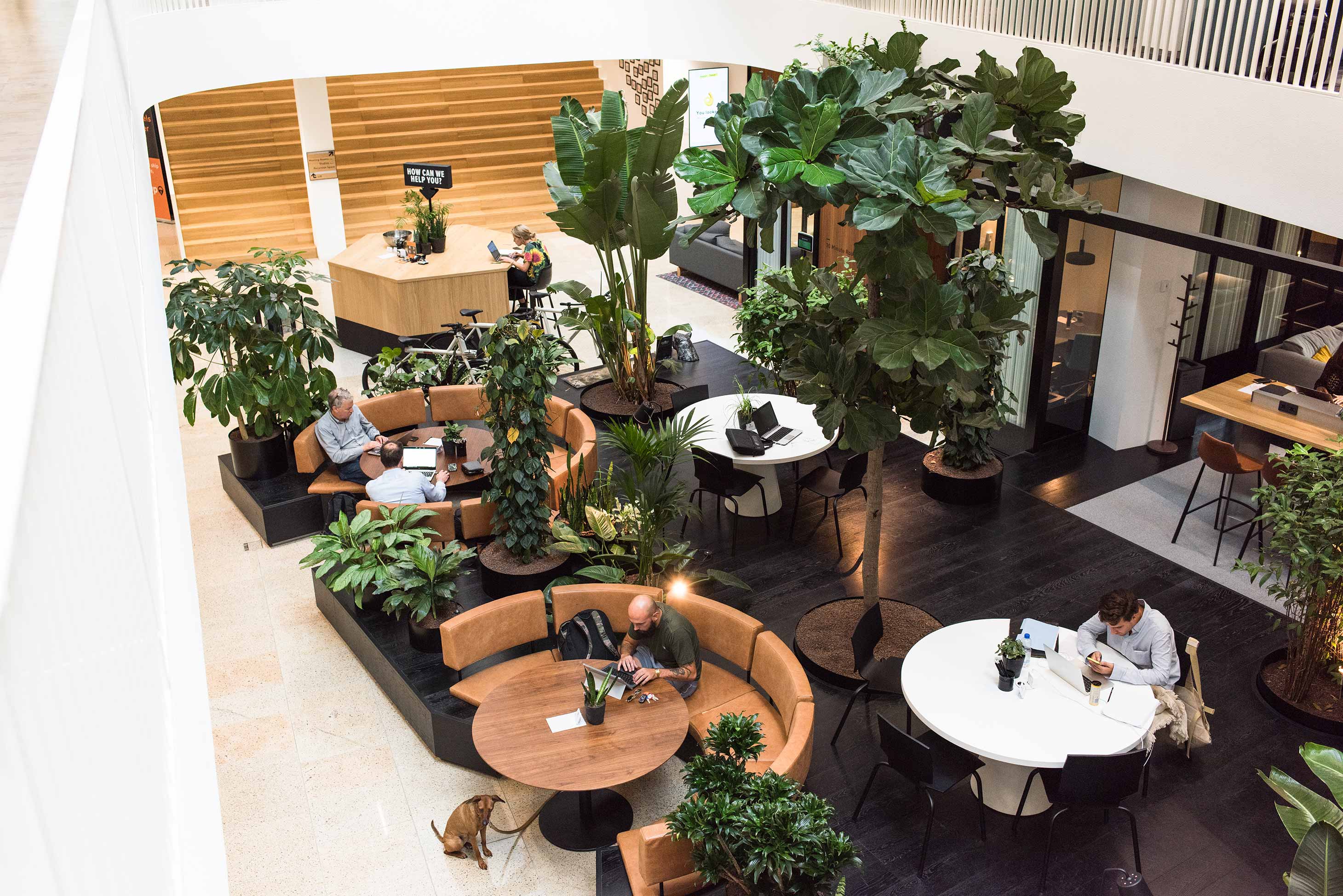 Where can startups work in Amsterdam? At one of these coworking spaces ...