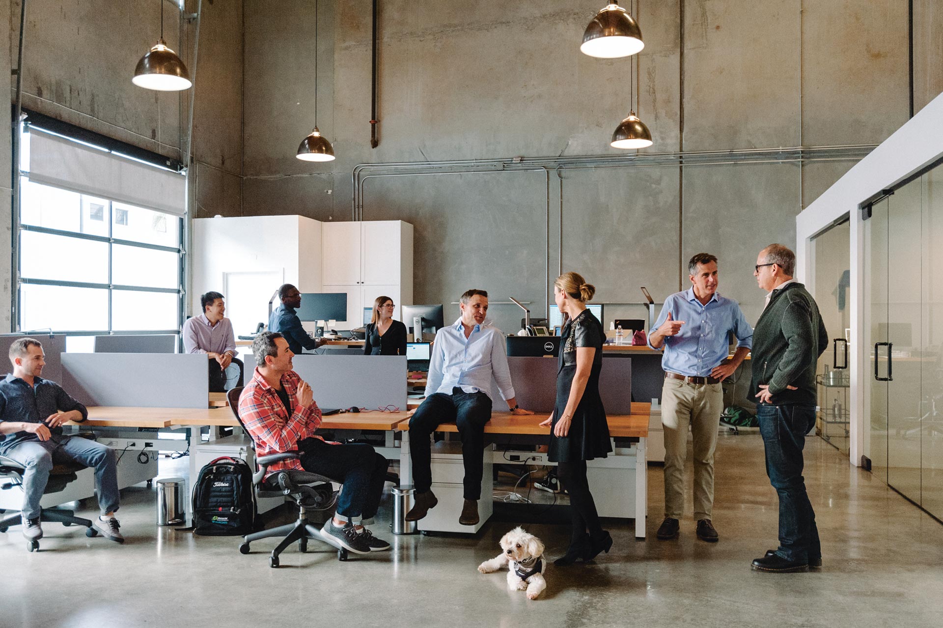 Startup Guide - Greycroft