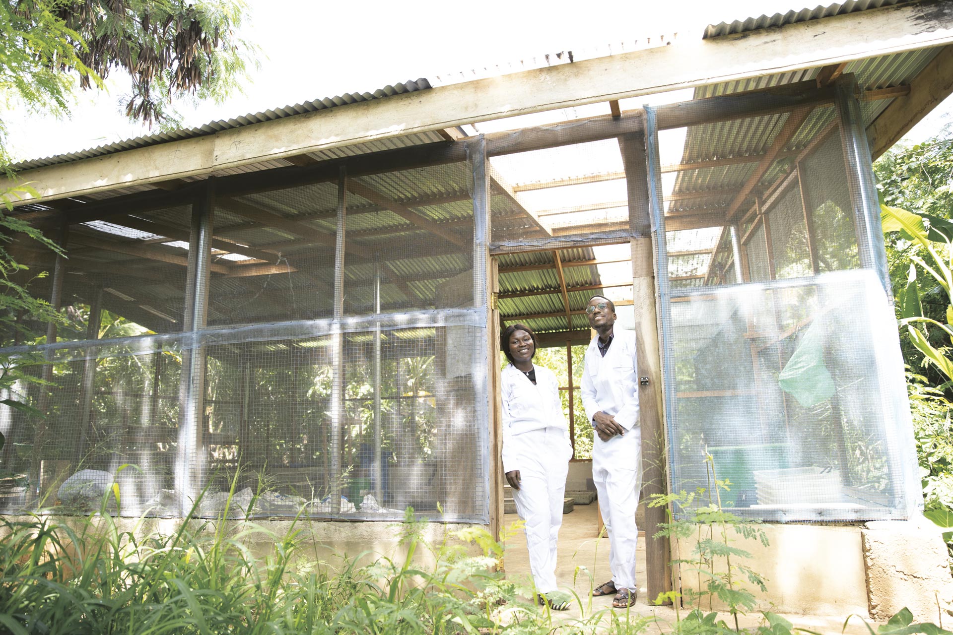 Startup Guide - West African Feeds