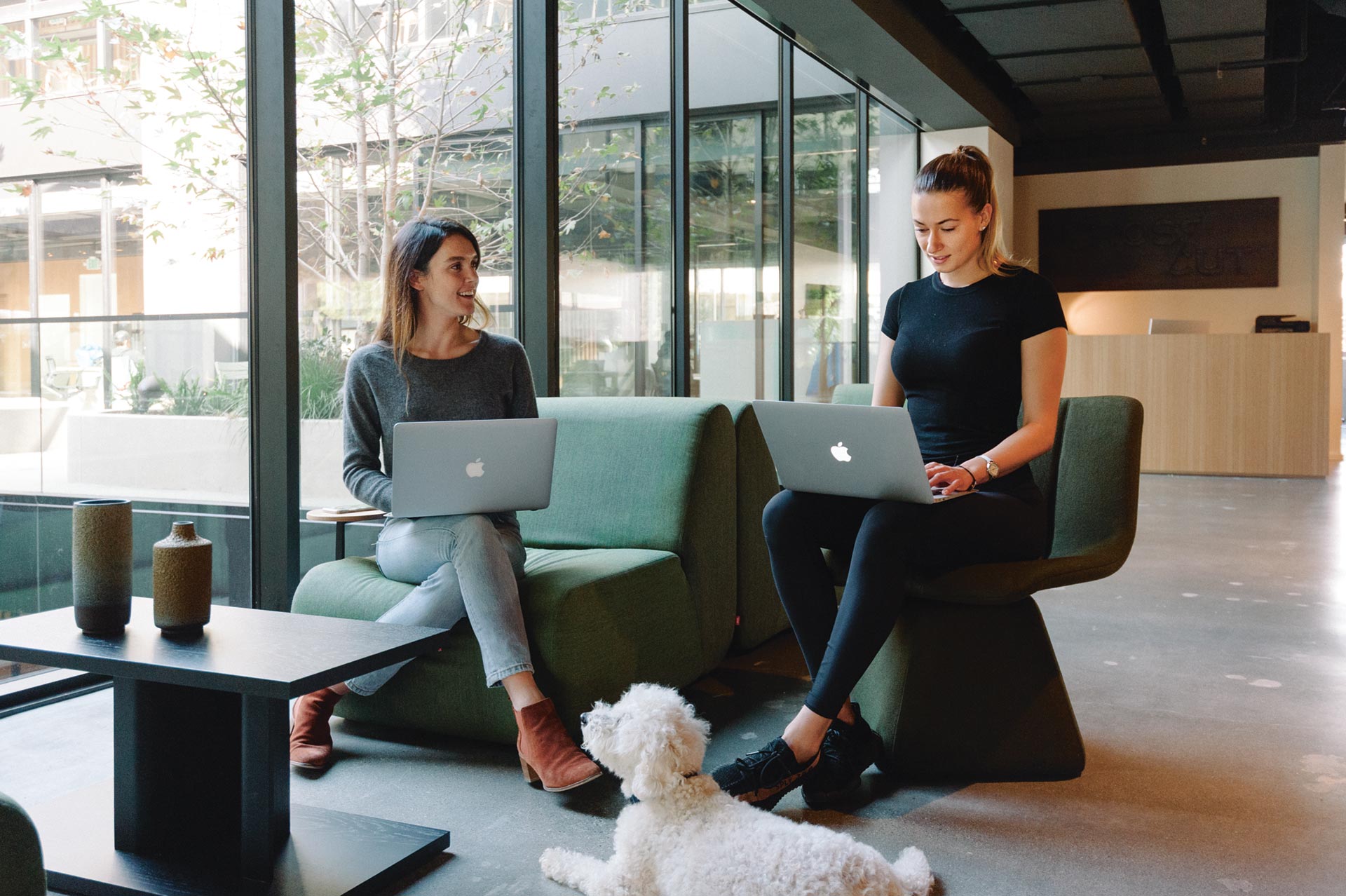 Startup Guide - Crosscut Ventures