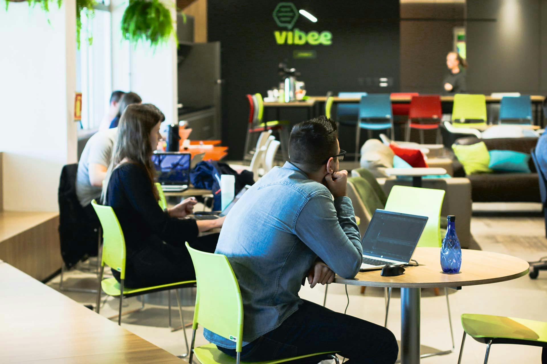 Startup Guide - Vibee Unimed