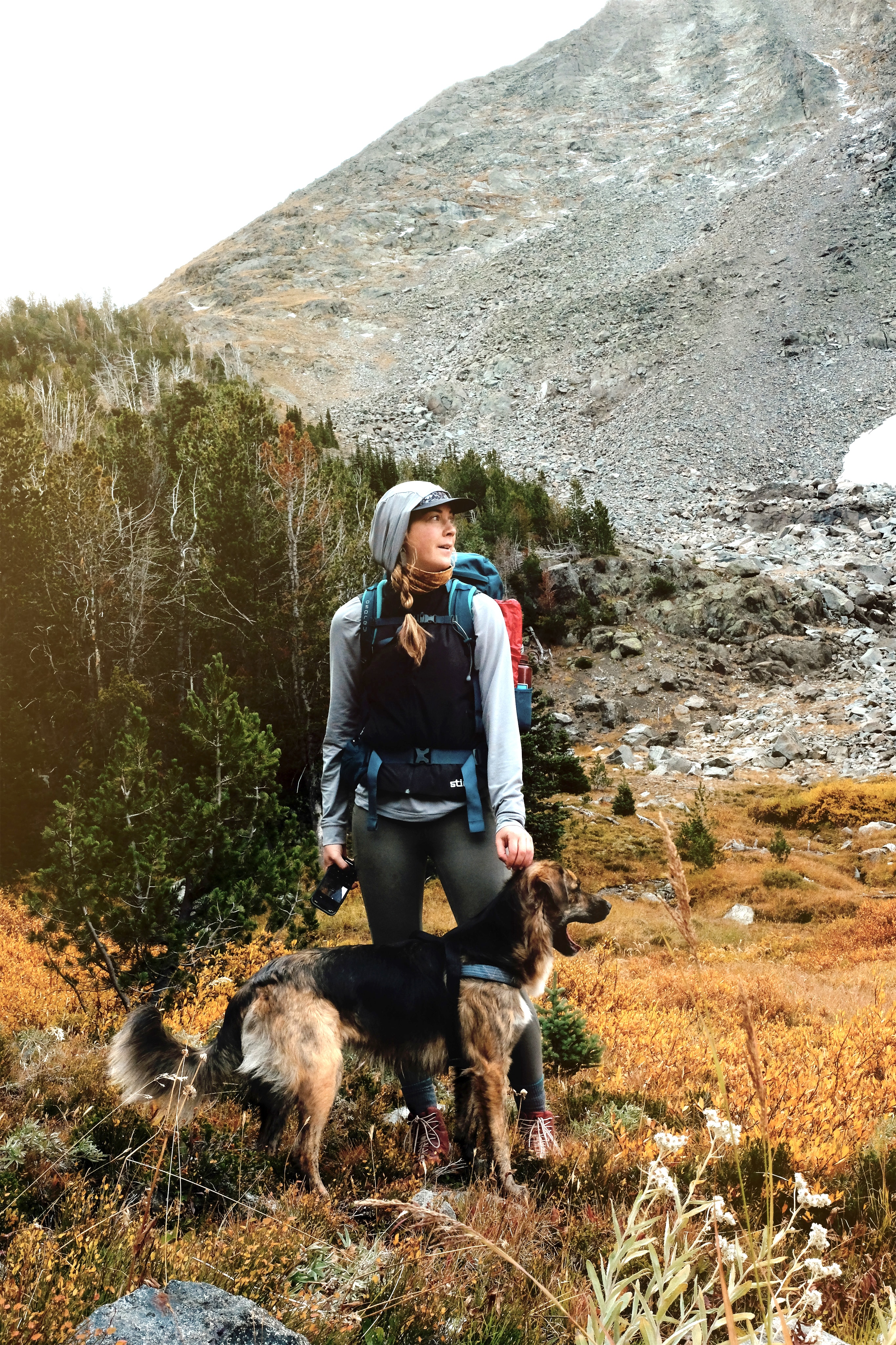 Summer Home Team Applications