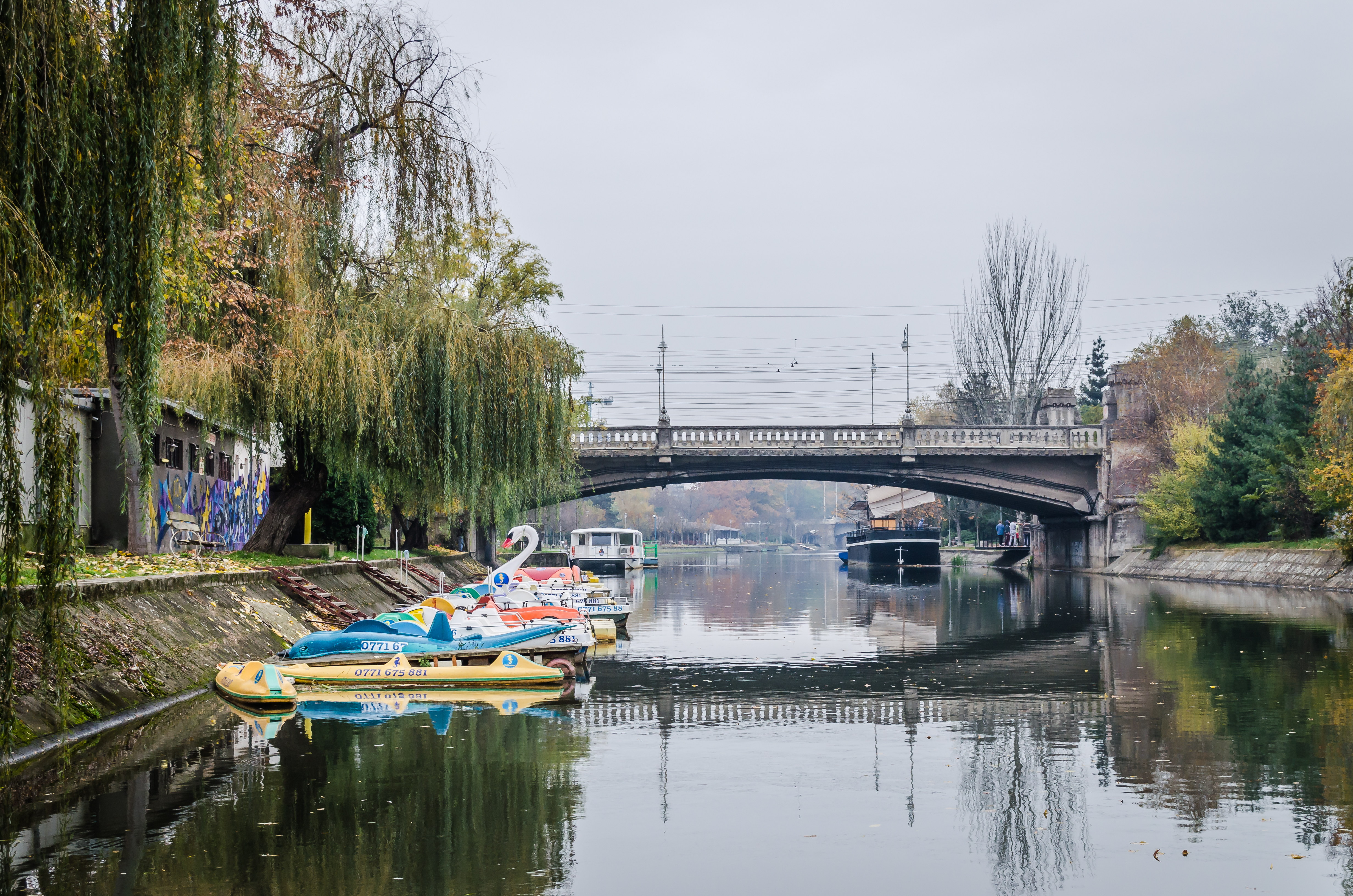 Cele mai sigure cartiere din Timisoara. Top 5 zone | Storia RO