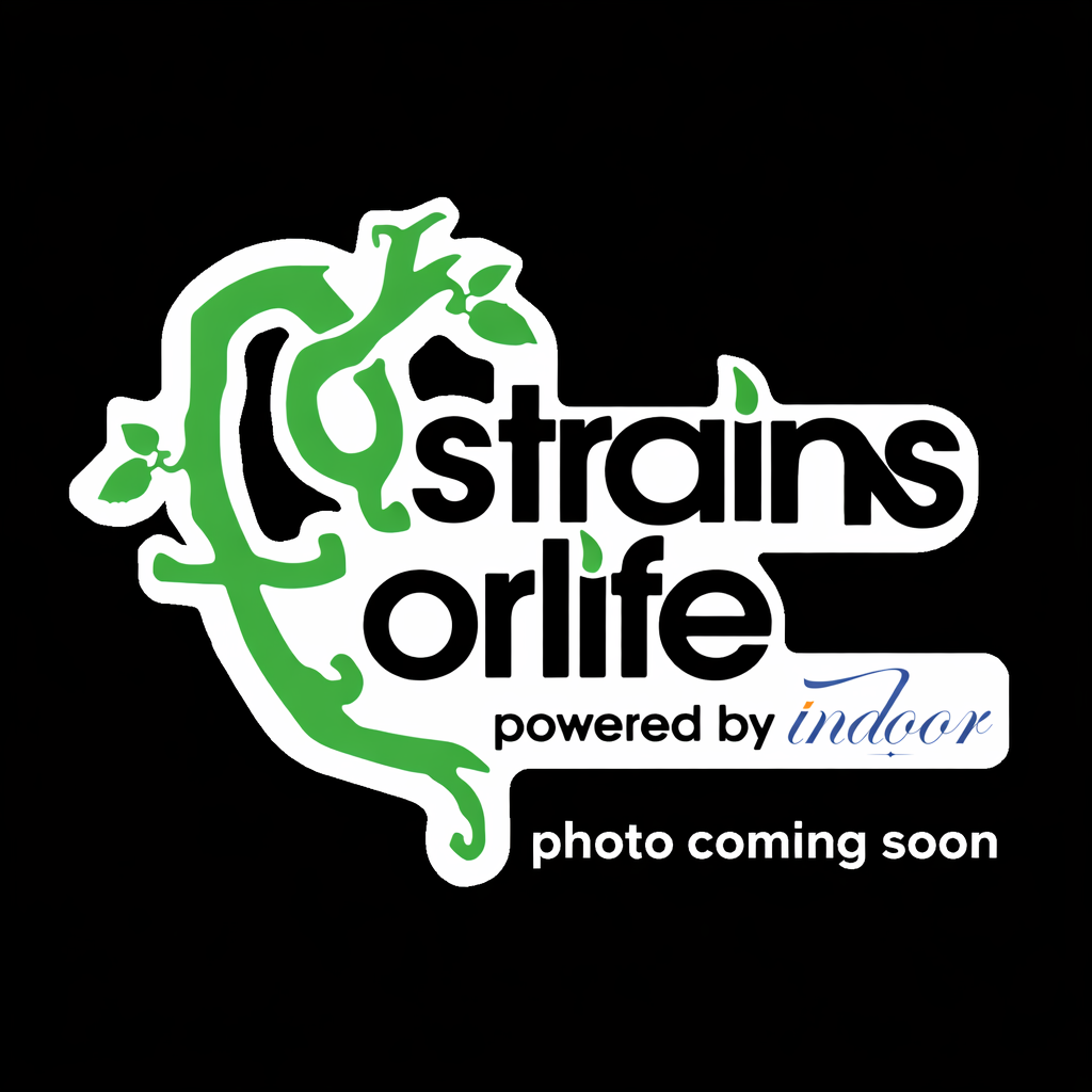 KINGS & QUEENS - FLOWER - HELLCAT #15