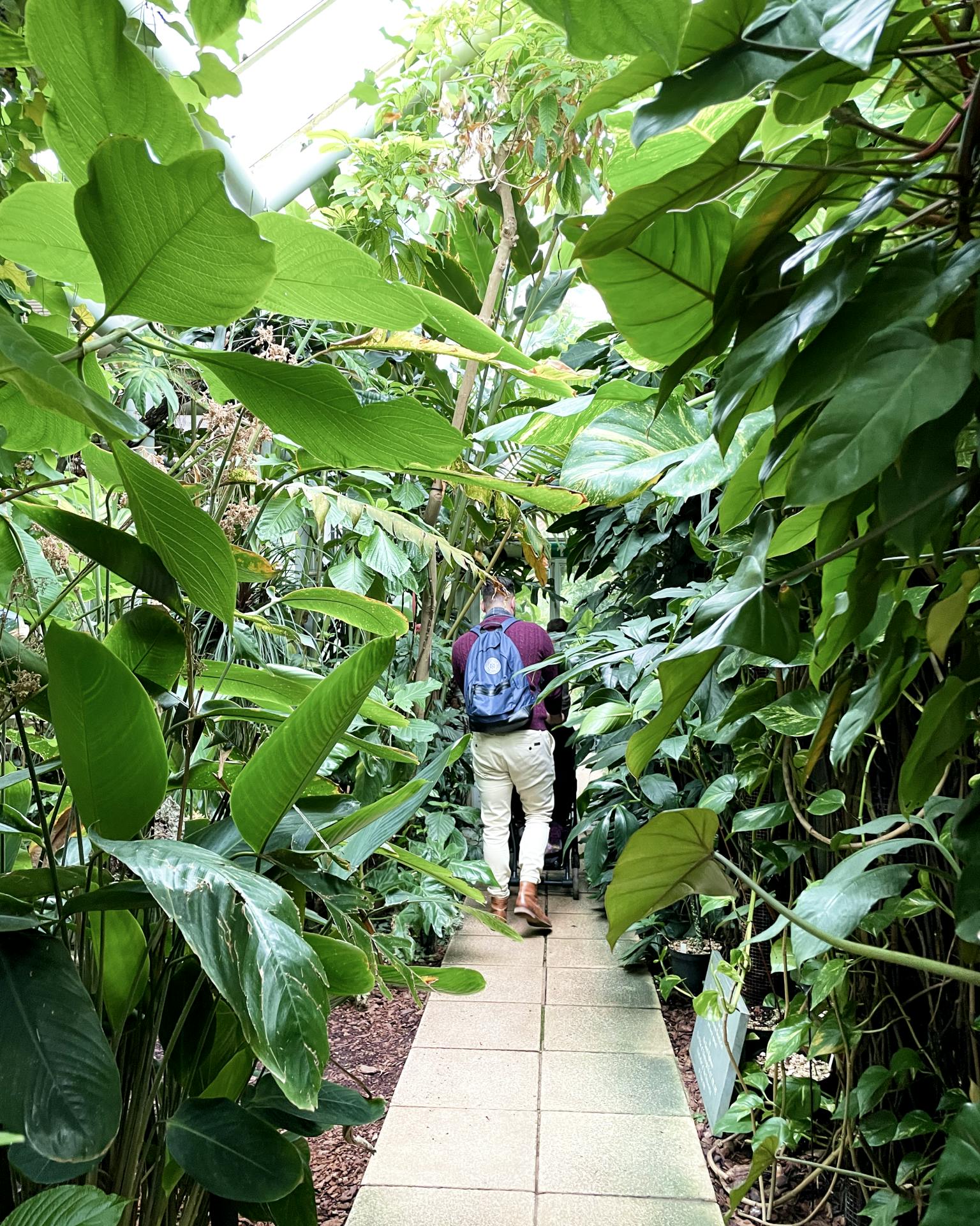 Building a consistent walking habit - Stryve