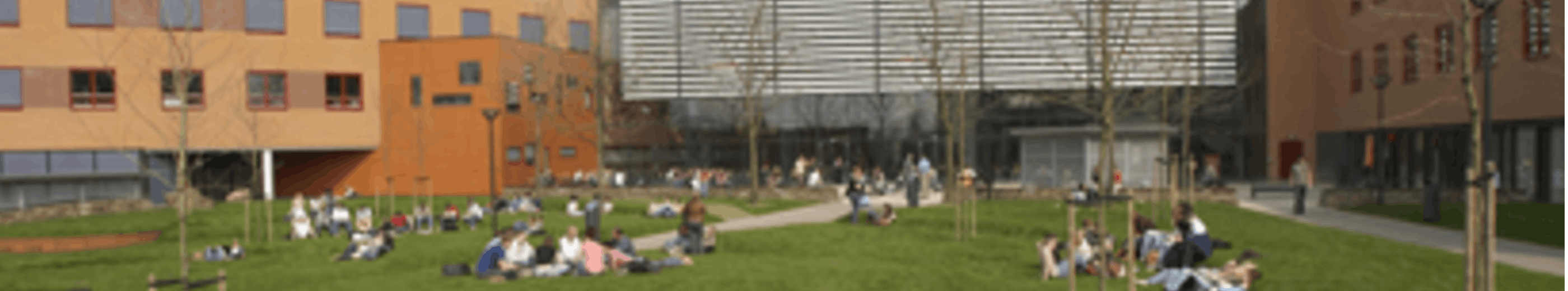 HAN University of Applied Sciences - Nijmegen - Studiekeuze123