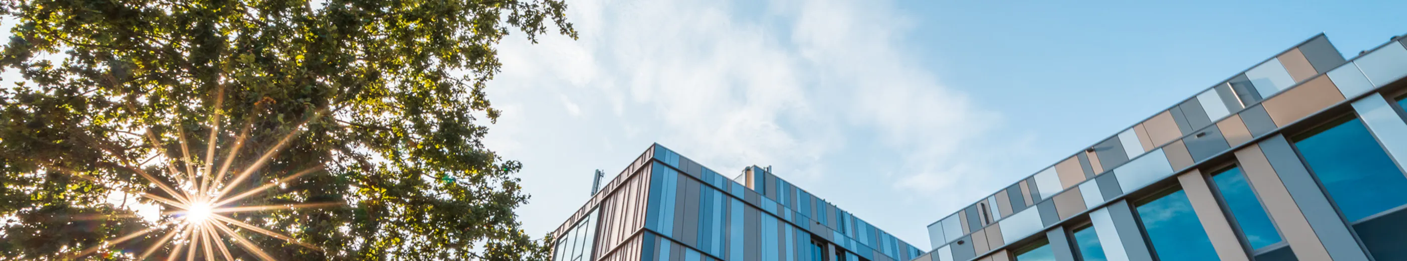 Hogeschool Viaa - Zwolle - Studiekeuze123 - Studiekeuze123
