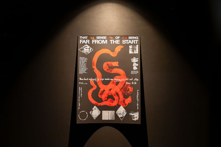 Exhibition - Studio Voltaire