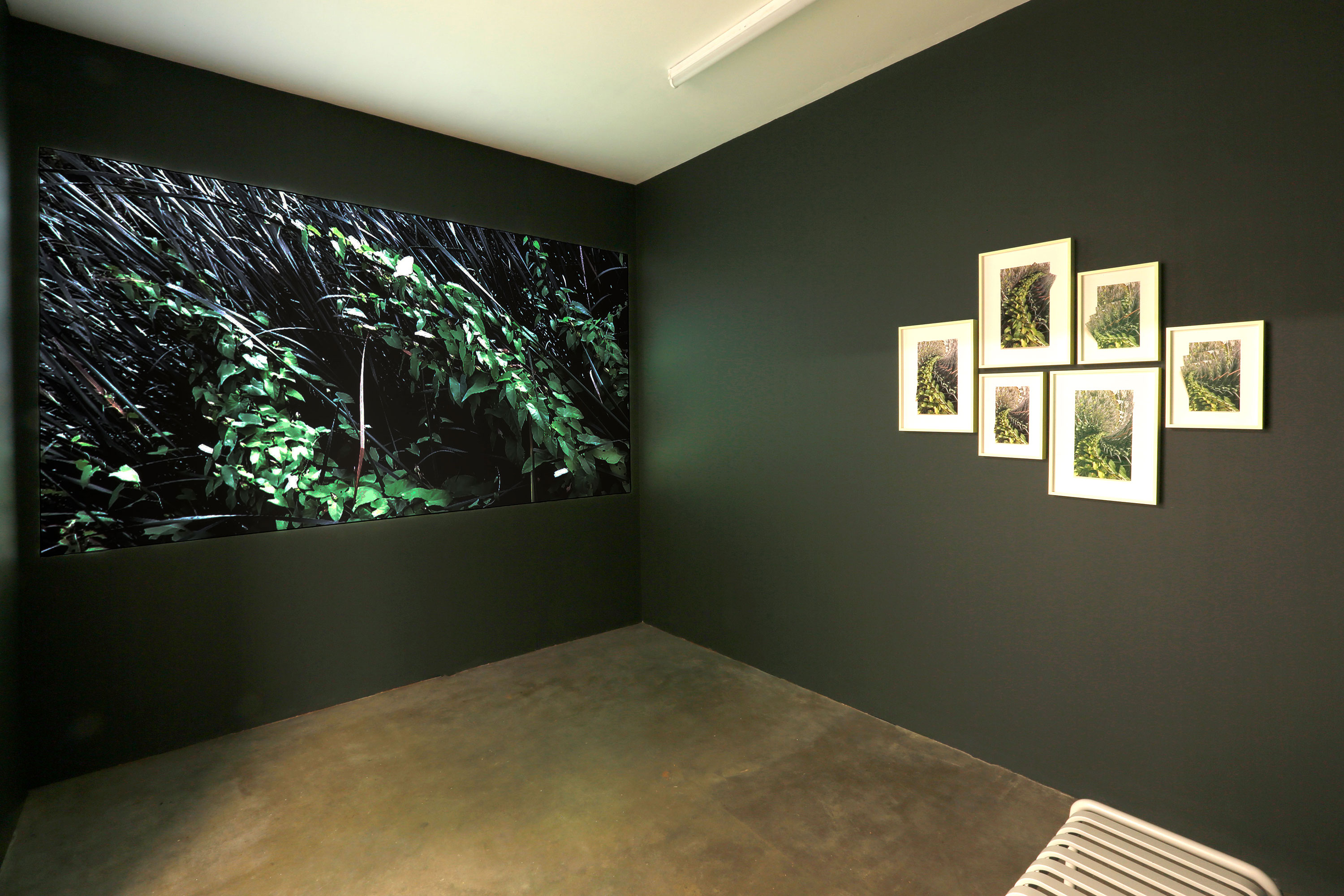 Jo Longhurst, Here, Now - Studio Voltaire